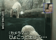 Water Tank GIFs on Giphy