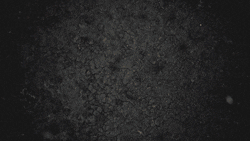 Forca Impacto GIF by Branco Motores - Find & Share on GIPHY