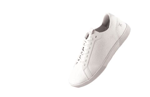 Flux Adapt | Indiegogo