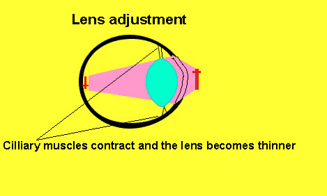 The Eye GIFs - Find & Share on GIPHY