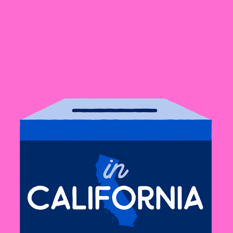 Voting Ballot Box GIF by #GoVote - Find & Share on GIPHY