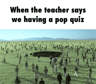 Quiz GIF - Find & Share on GIPHY