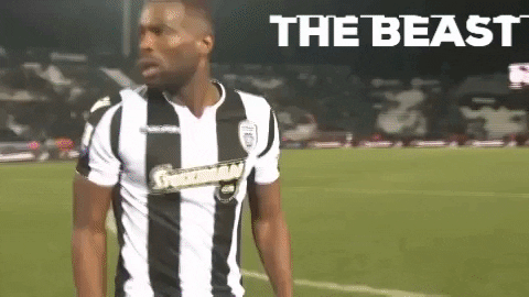 Passion Paokfamily GIF by PAOK FC - Find & Share on GIPHY