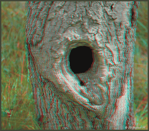 Hole GIF - Find & Share on GIPHY