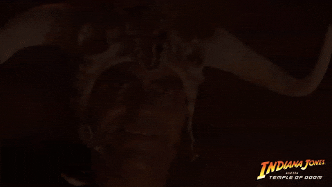 Indiana Jones And The Temple Of Doom GIF by Indiana Jones - Find ...
