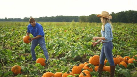 Frey Farms GIF - Find & Share on GIPHY
