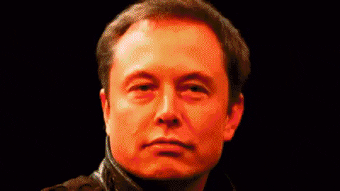 Cryptocurrency Elon Musk Funny GIF by Bitcoin & Crypto Creative ...
