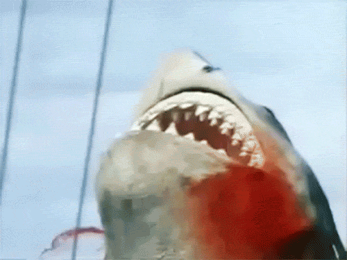 Yahoo Movies Jaws GIF - Find & Share on GIPHY