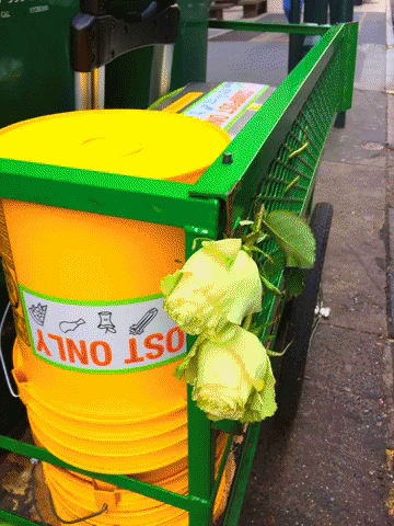 Flowers Diy GIF by Common Ground Compost - Find & Share on GIPHY