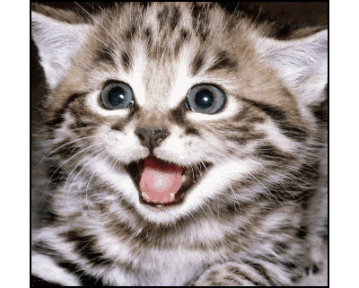 Roar GIFs - Find & Share on GIPHY