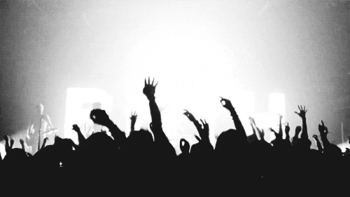 Crowd Goes Wild GIF - Find & Share on GIPHY