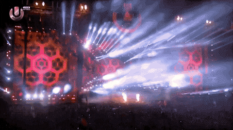 Ultra Miami GIF by Hardwell - Find & Share on GIPHY