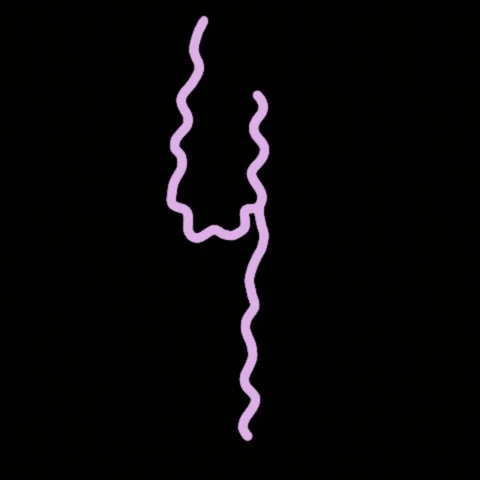 Number GIF - Find & Share on GIPHY