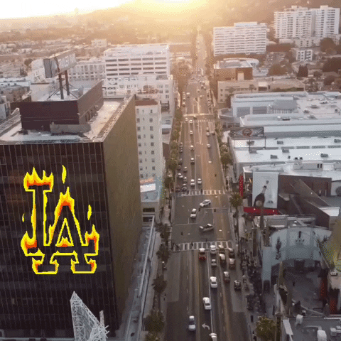 Los Angeles City GIF by Yevbel - Find & Share on GIPHY