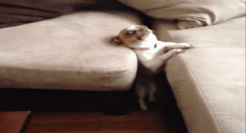 Stuck GIF - Find & Share on GIPHY