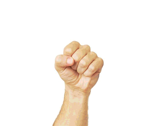 Opening GIFs - Find & Share on GIPHY