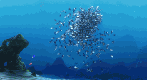 Finding Nemo Pixar Gif GIF by Disney Pixar - Find & Share on GIPHY