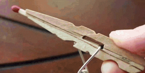 Peg Find And Share On Giphy