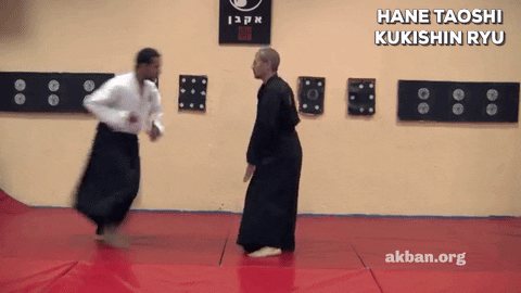 Ninjutsu GIF by AKBAN Academy - Find & Share on GIPHY