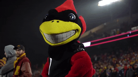 Iowa State Kiss GIF by CyclonesTV - Find & Share on GIPHY