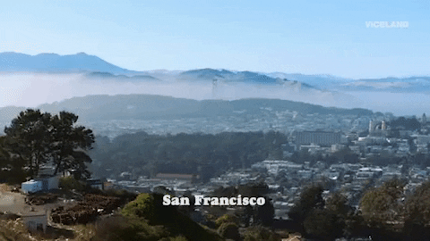 San Francisco Sf GIF by SLUTEVER - Find & Share on GIPHY