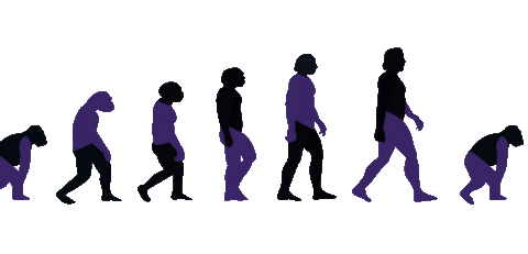 Evolution Sticker by Oide.Art for iOS & Android | GIPHY