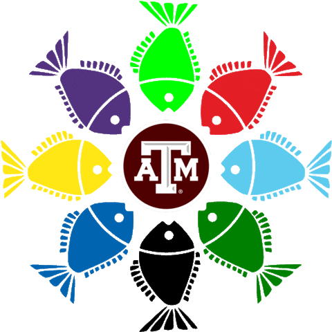 Texas Am Fish Sticker by Texas A&M University for iOS & Android | GIPHY