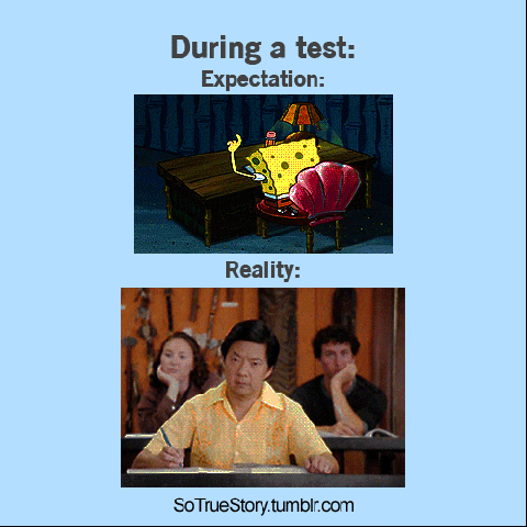 Test GIF - Find & Share on GIPHY