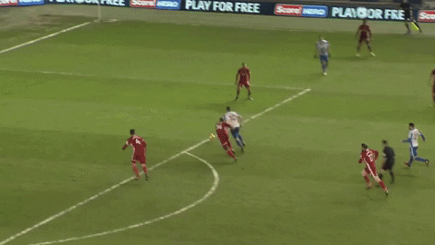 Hemed GIF by Brighton & Hove Albion Football Club - Find & Share on GIPHY