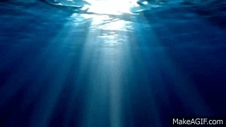 Underwater Gif Loop