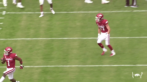 Celebrate College Football GIF by Arkansas Razorbacks - Find & Share on ...