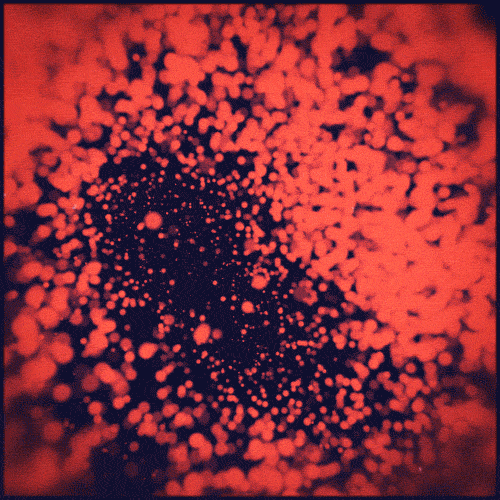 Glow Color Of The Year GIF by Erica Anderson - Find & Share on GIPHY