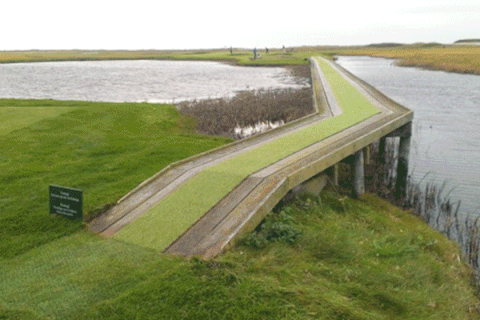 Path GIF - Find & Share on GIPHY