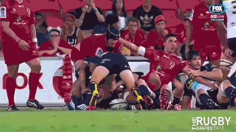 Rugby GIF - Find & Share on GIPHY