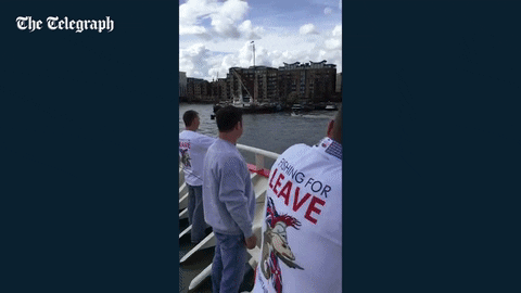 GIF by The Telegraph - Find & Share on GIPHY