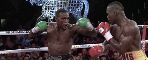 Boxing GIF - Find & Share on GIPHY
