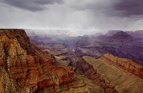 Desert GIF - Find & Share on GIPHY