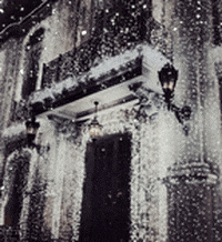 Snow Fall GIFs - Get the best GIF on GIPHY