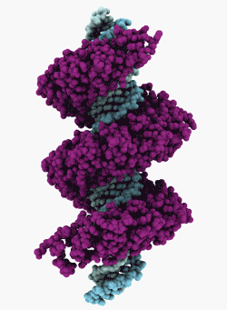 Molecular Biology GIF - Find & Share on GIPHY