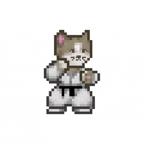 Fight Dog GIF - Find & Share on GIPHY