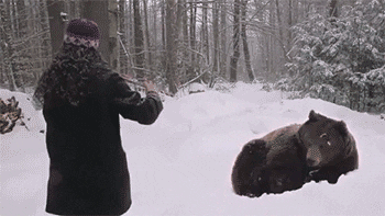 Sleep Bears GIF by Andrea - Find & Share on GIPHY