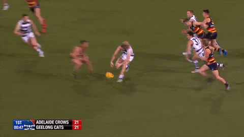 Round 17 Afl GIF by Adelaide Crows - Find & Share on GIPHY