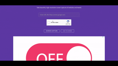 Screenshot Guru - Take Website Screenshots - Mersudin Forbes Digital