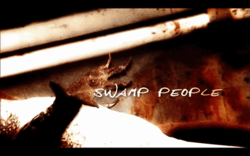 Swamp People Alligator Find And Share On Giphy