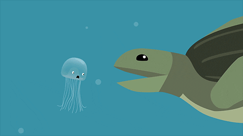 Underwater Animals Animated Gifs