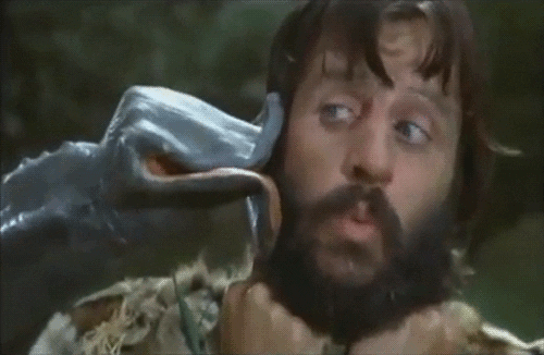 Network Caveman GIF - Find & Share on GIPHY