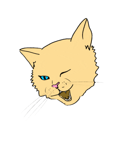 Cat Laugh Sticker for iOS & Android | GIPHY