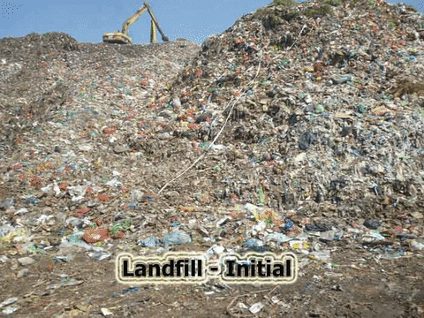 Sorting Waste GIFs - Find & Share on GIPHY