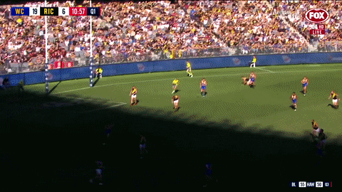 2018 Season Football GIF by AFL - Find & Share on GIPHY