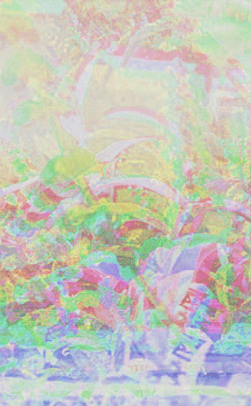 Glitch Internet GIF - Find & Share on GIPHY